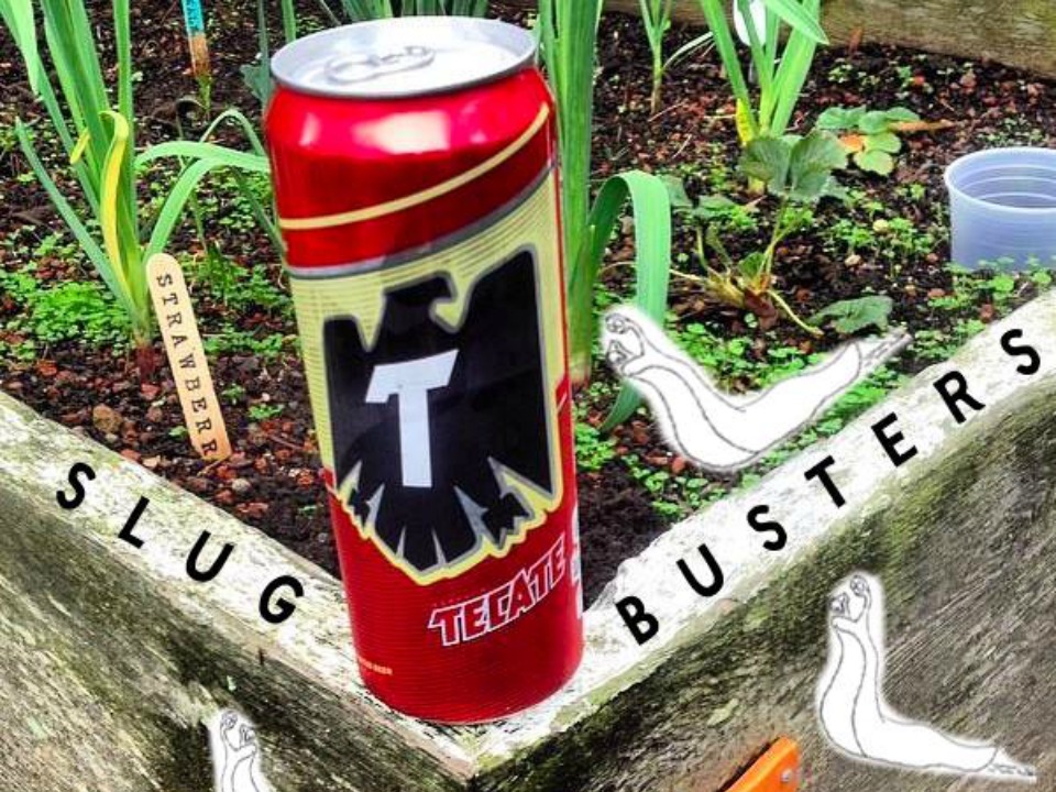 Slugs And Beer Tonight At The Page