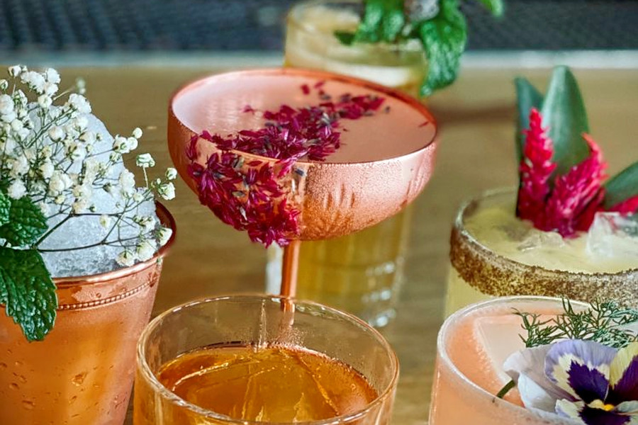 New Downtown cocktail bar Lilly Rose opens its doors