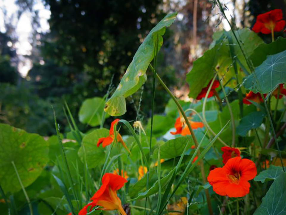 5 options for stay-at-home fun in SF: Monday, April 20