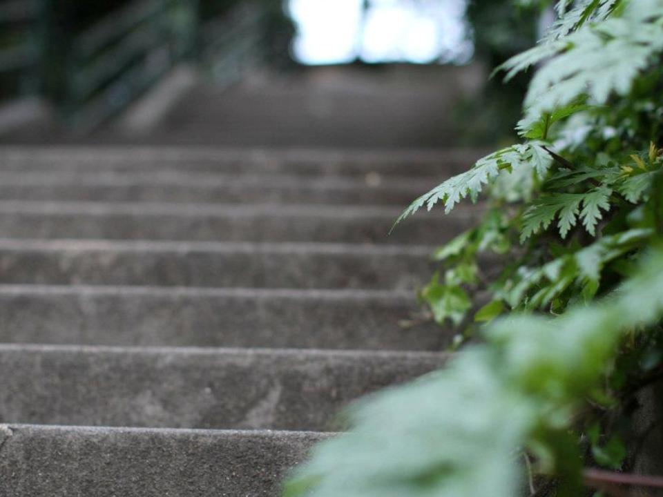 22nd Street Jungle Stairs Project Aims To Beautify Overlooked Stairway